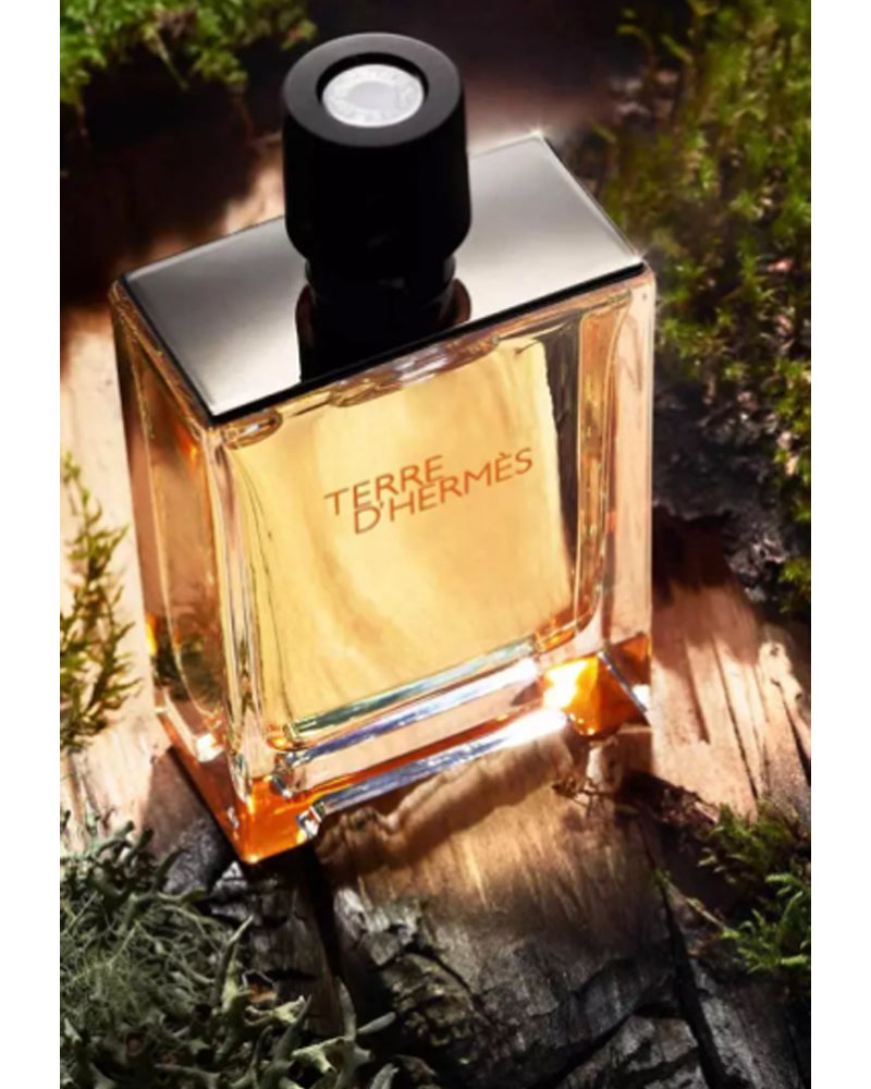 Fragrance – Page 7