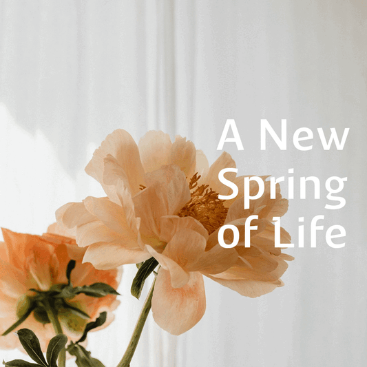 A New Spring of Life